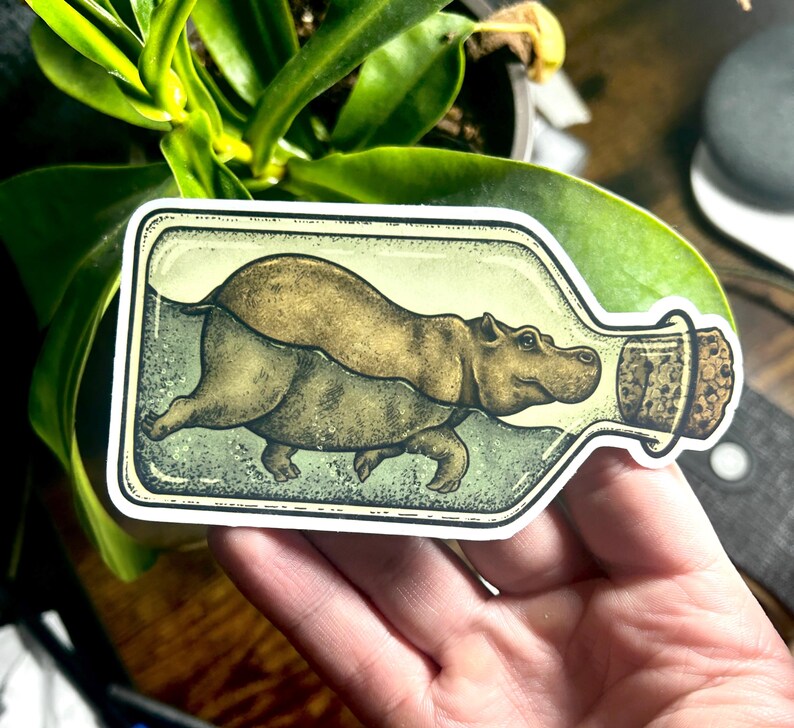 Retro Cute Hippo (moo Deng) Vinyl Sticker - Etsy