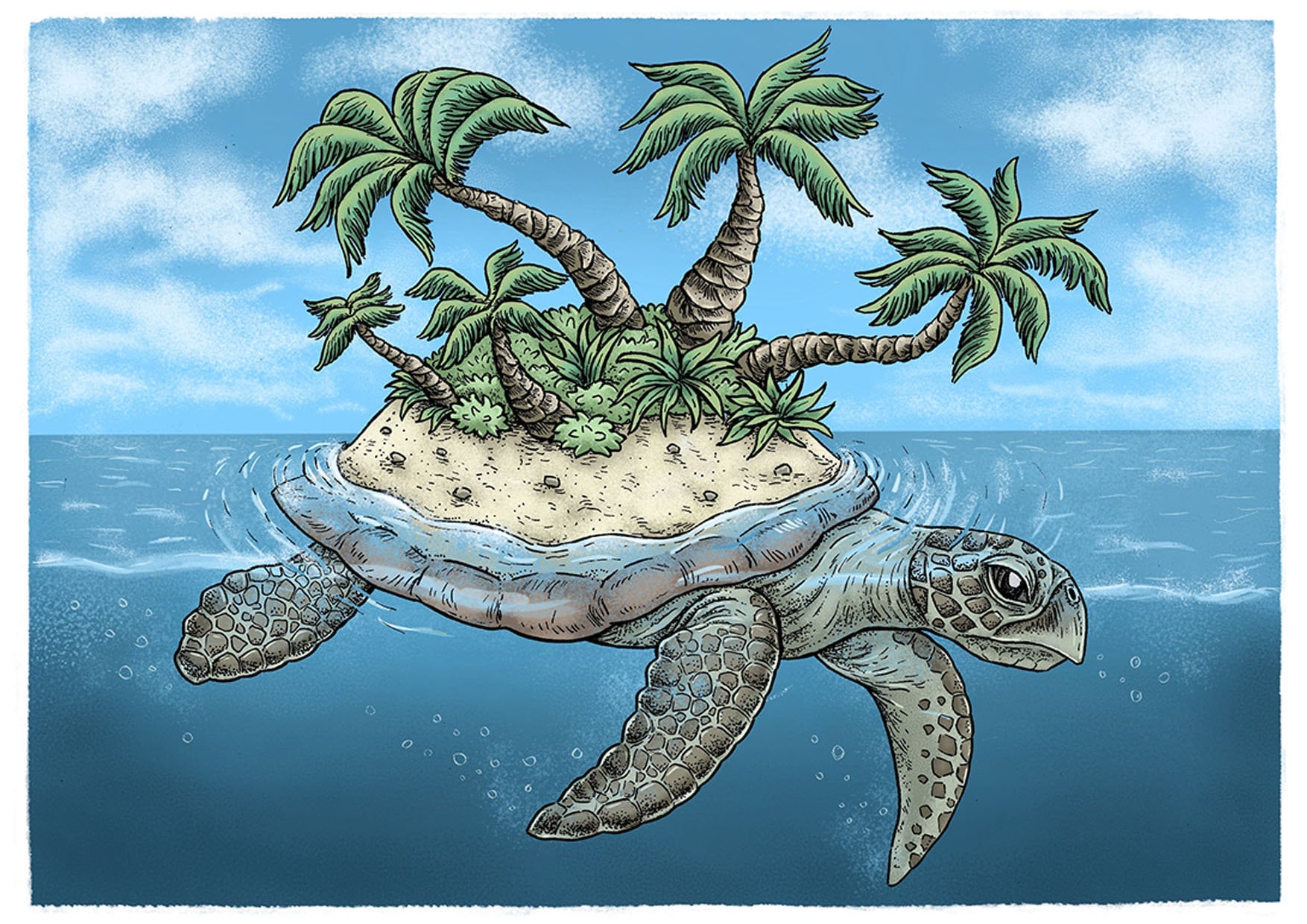 Turtle Island - Etsy
