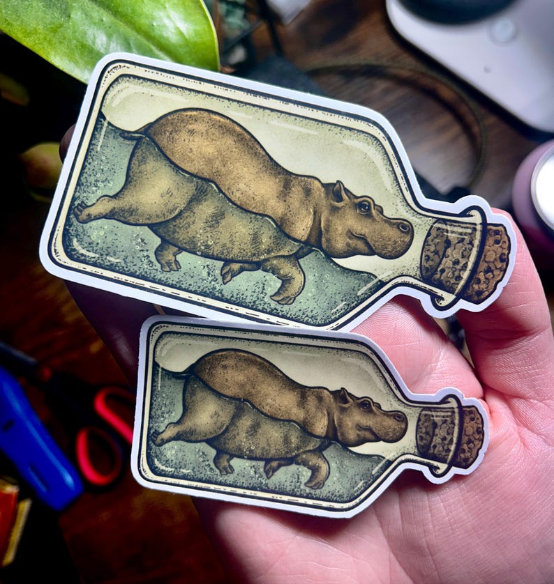 Retro Cute Hippo moo Deng Vinyl Sticker - Etsy