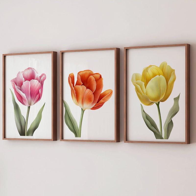 Tulip Wall Art - Etsy