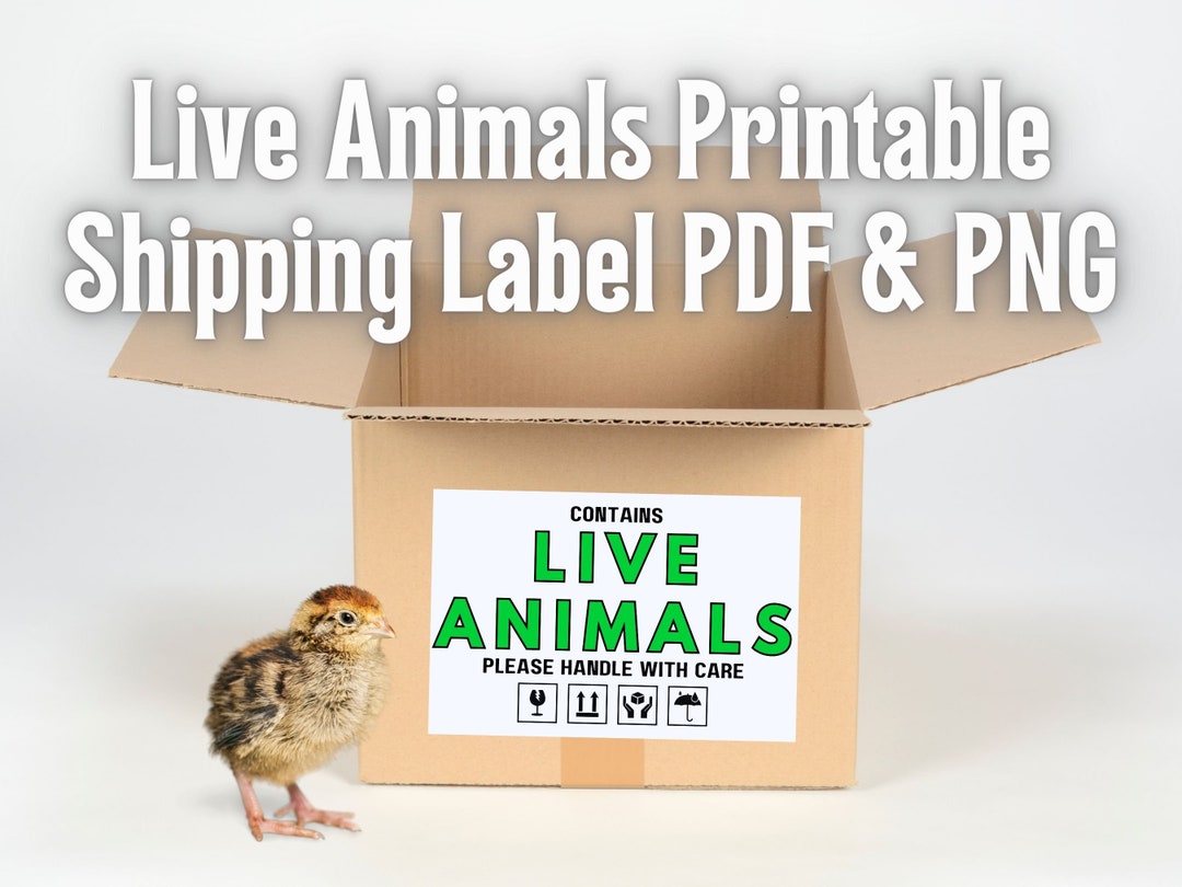 Printable Live Animals Shipping Label for Tagging Fragile Boxes ...