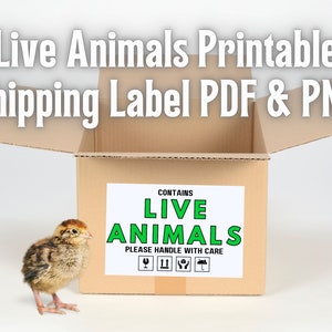 Live Animals Shipping Label – Printable Fragile Box Sticker (PDF & PNG ...