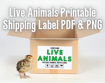 Printable FRAGILE Shipping Label for Tagging Fragile Boxes - Printable ...