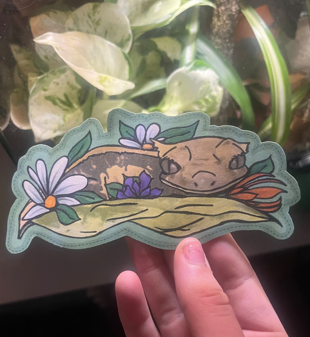Personalised Vinyl Crested Gecko Sticker - Etsy