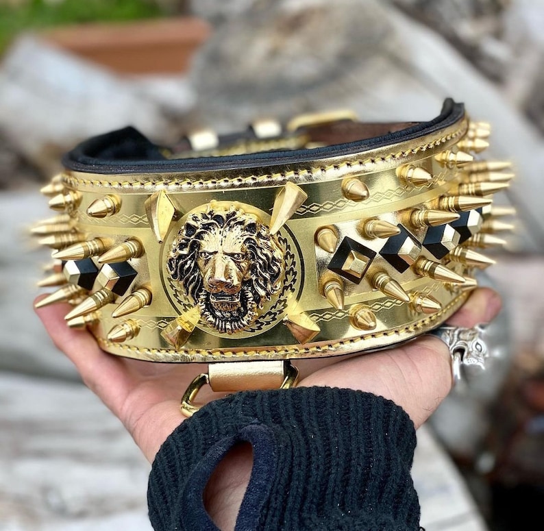 Gold Leather Custom Spiked Dog Collar - Etsy