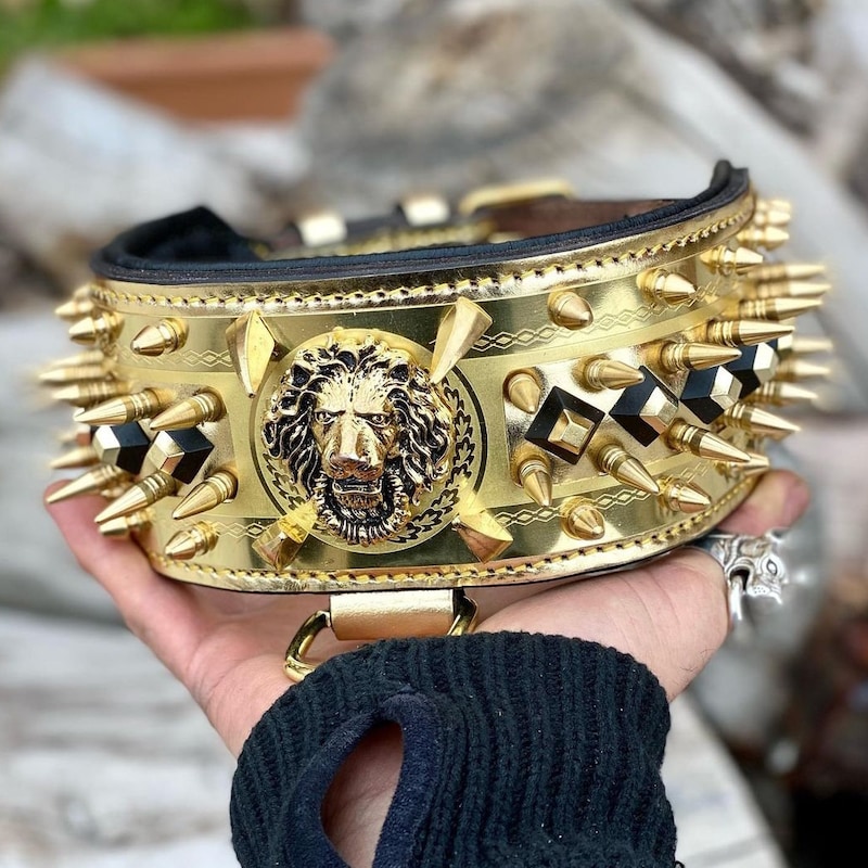 Spiked Dog Collar - Etsy