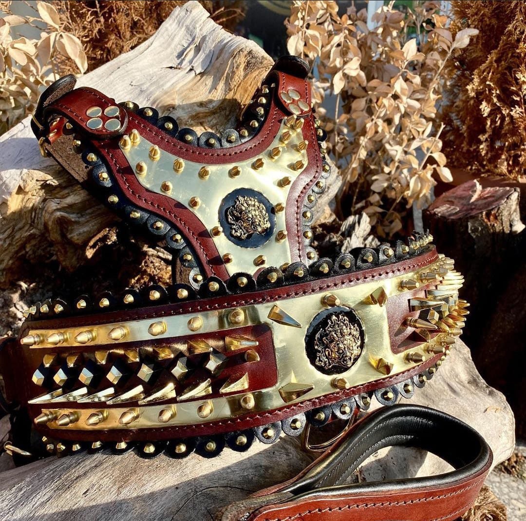 Leather Dog Collar, Harness and Leash Set - Etsy