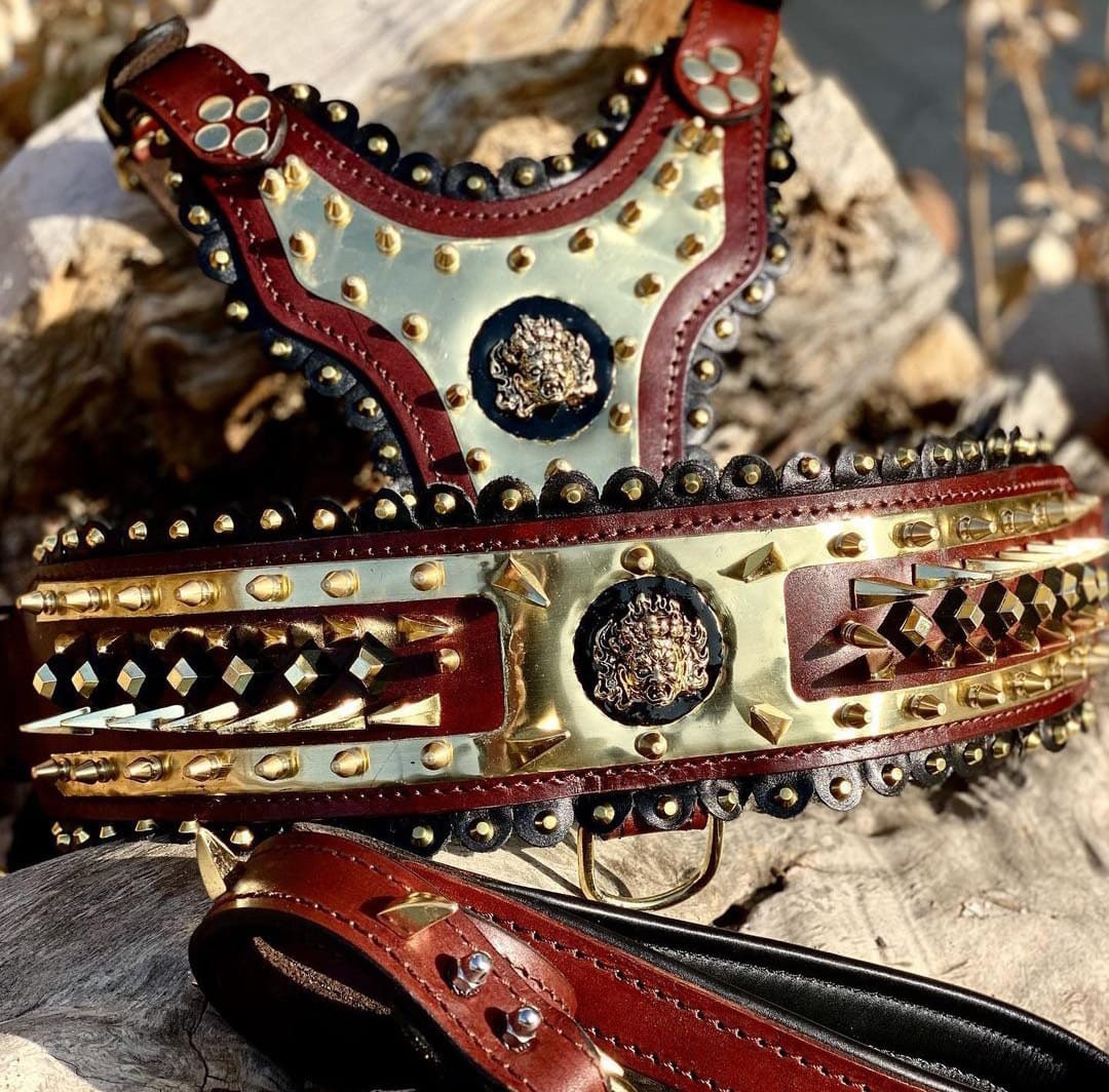 Leather Dog Collar, Harness and Leash Set - Etsy