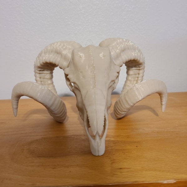 Ram Skull 3d Print - Etsy