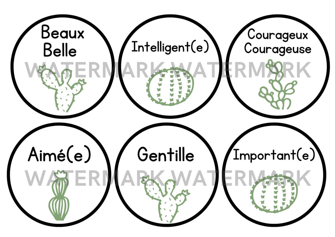 Cactus French Positive Affirmations | Classroom Decor | Printable PDF ...