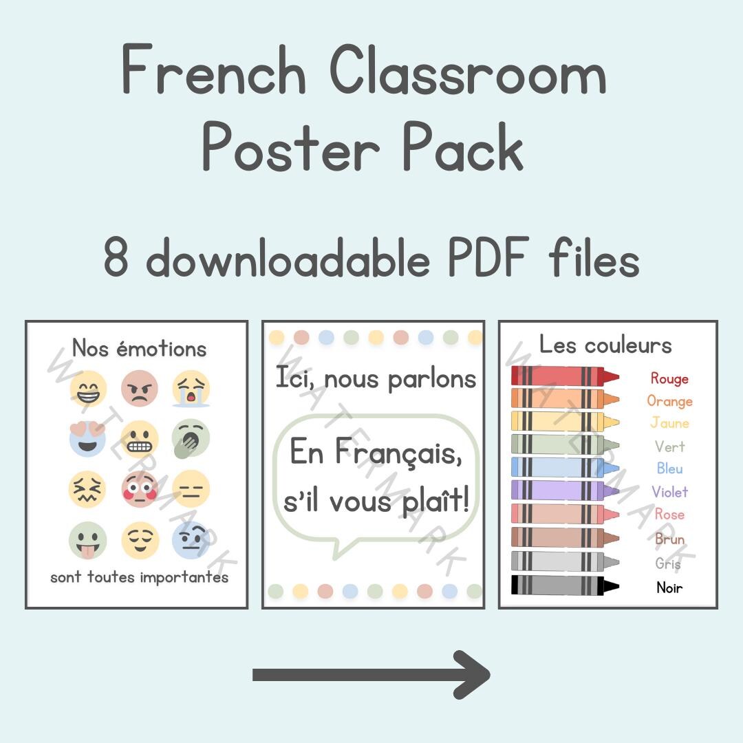 French Classroom Pastel Poster Pack - Etsy