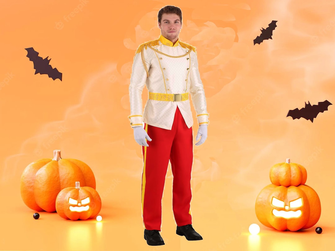 Prince Charming Costume for Men Halloween Costume - Etsy