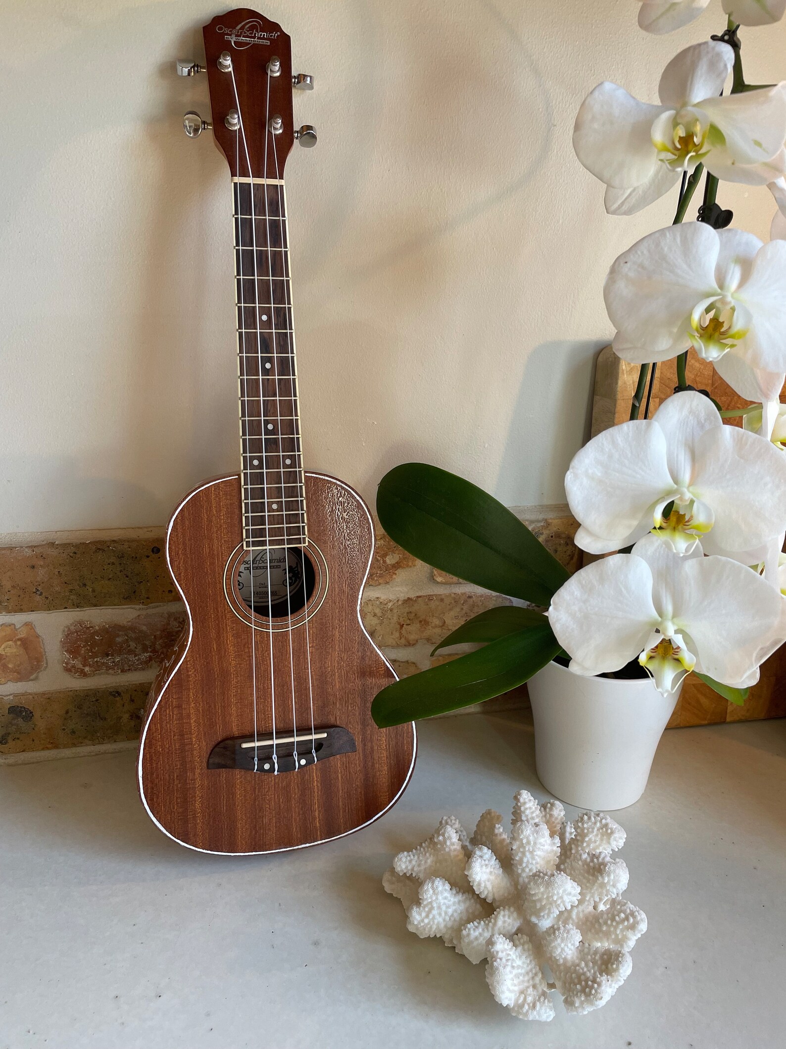 Hand-painted Ukulele: Choose From 3 Designs - Etsy