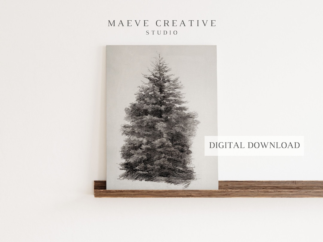 Vintage Fir Tree Sketch Print Minimalist Winter Tree Sketch - Etsy
