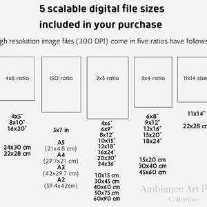 50 Vintage Digital Prints Set | Gallery Wall Set | Wall Bundle Set ...