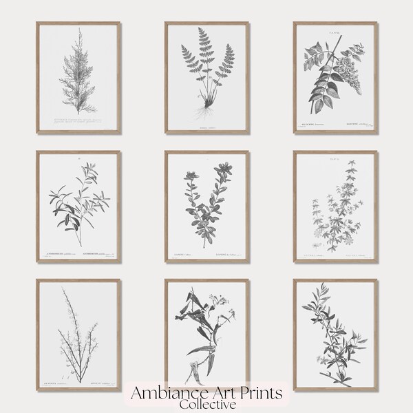Botanical Prints Black White - Etsy