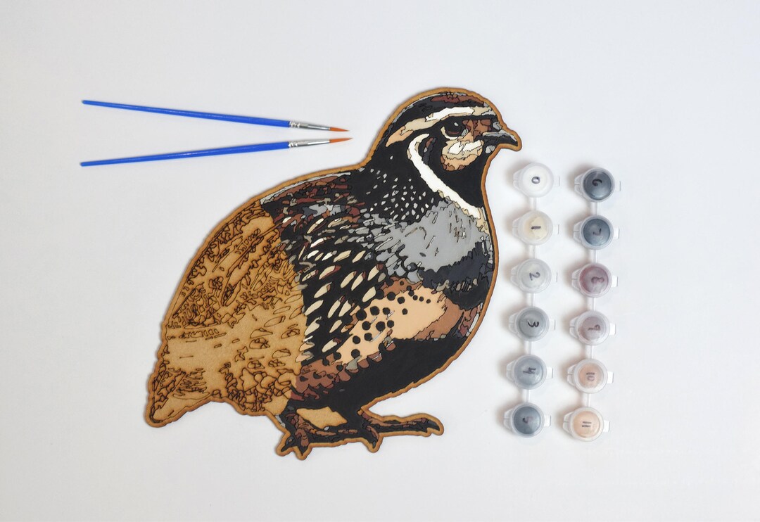 Quail Paint by Number Kit Quail Gift Coturnix Quail Decor Farm Decor ...