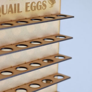 Quail Wall Hanging Egg Holder, Wall Mount Egg Holder, Quail Gift ...