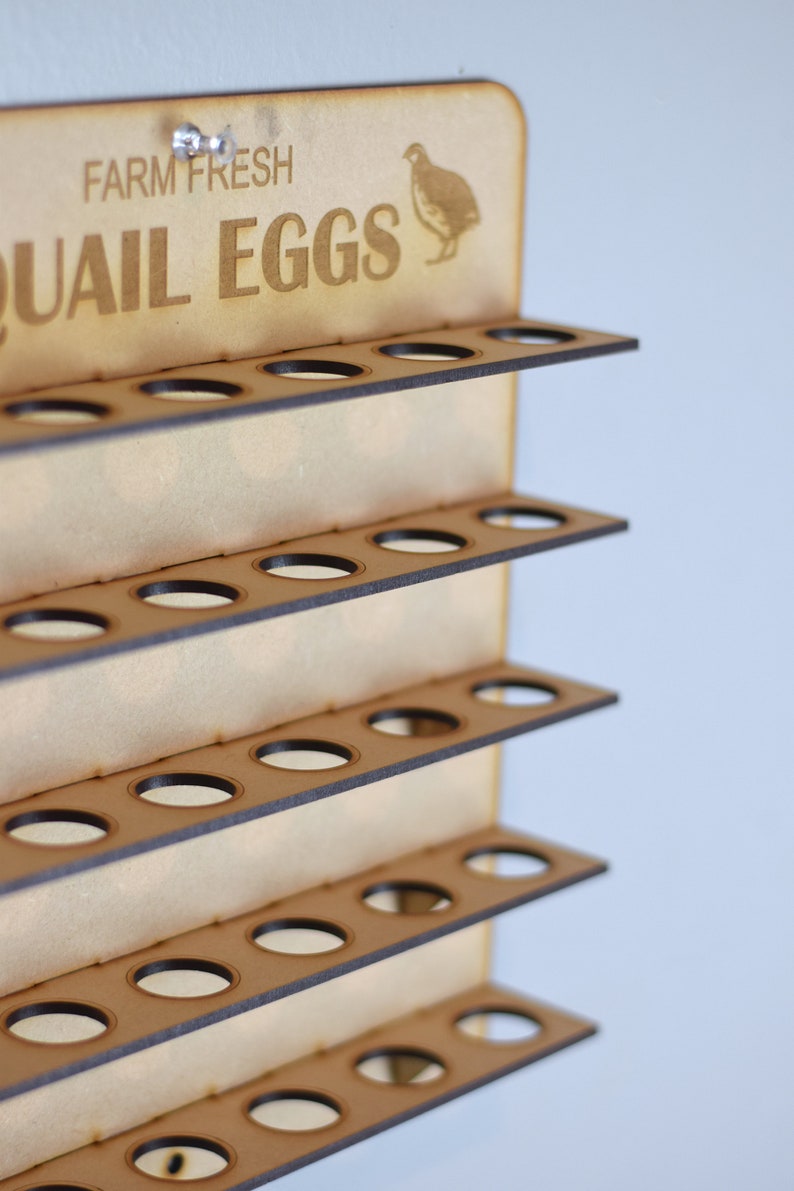 Quail Wall Hanging Egg Holder, Wall Mount Egg Holder, Quail Gift ...