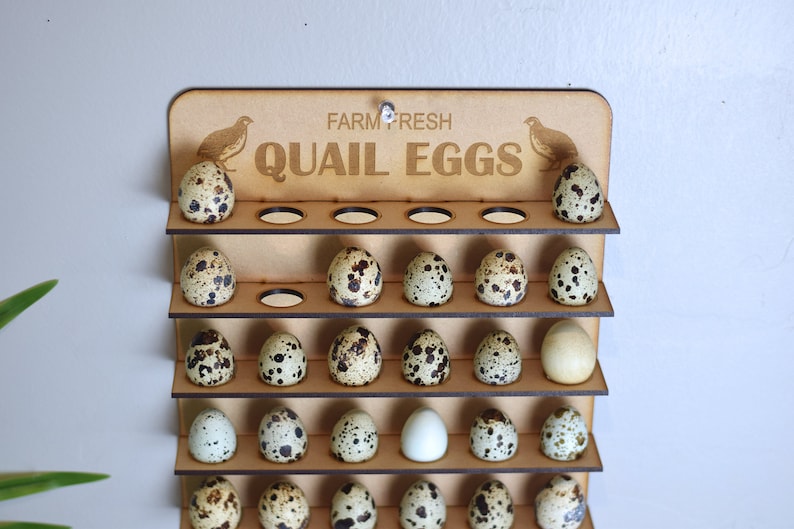 Quail Wall Hanging Egg Holder, Wall Mount Egg Holder, Quail Gift ...