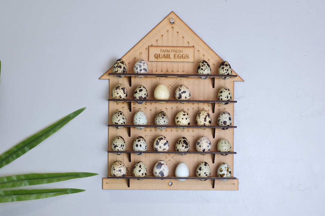 Quail Egg Holder, Wall Mount Display, Wooden Barn Decor - Etsy
