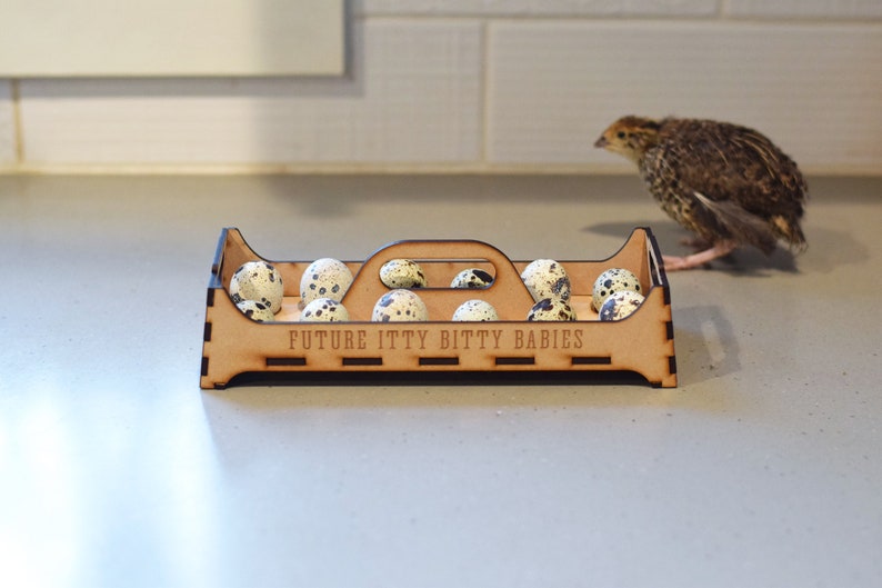 Quail Hatching Egg Carton Quail Gift Coturnix Quail Decor - Etsy
