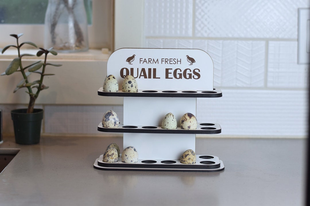 White Quail Egg Holder, Quail Gift, Coturnix Quail Decor, Quail Egg ...