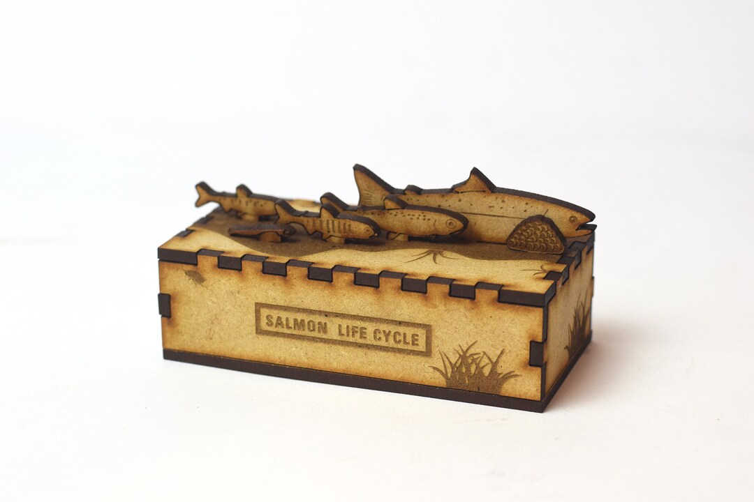 Salmon Life Cycle Playset, Salmon Gift, Salmon Toy, Wood Toy, Fishing ...