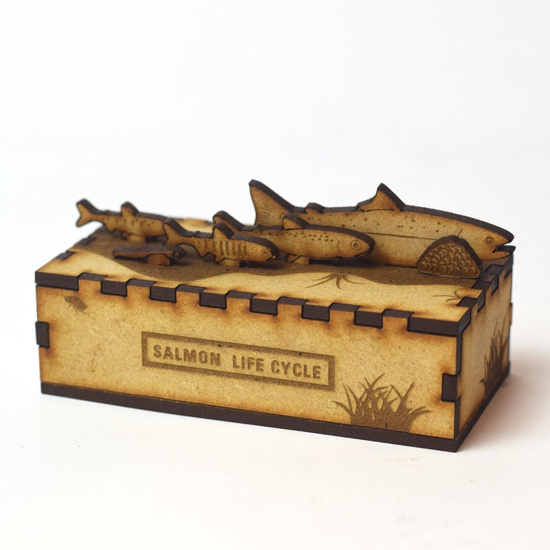 Wooden Salmon - Etsy