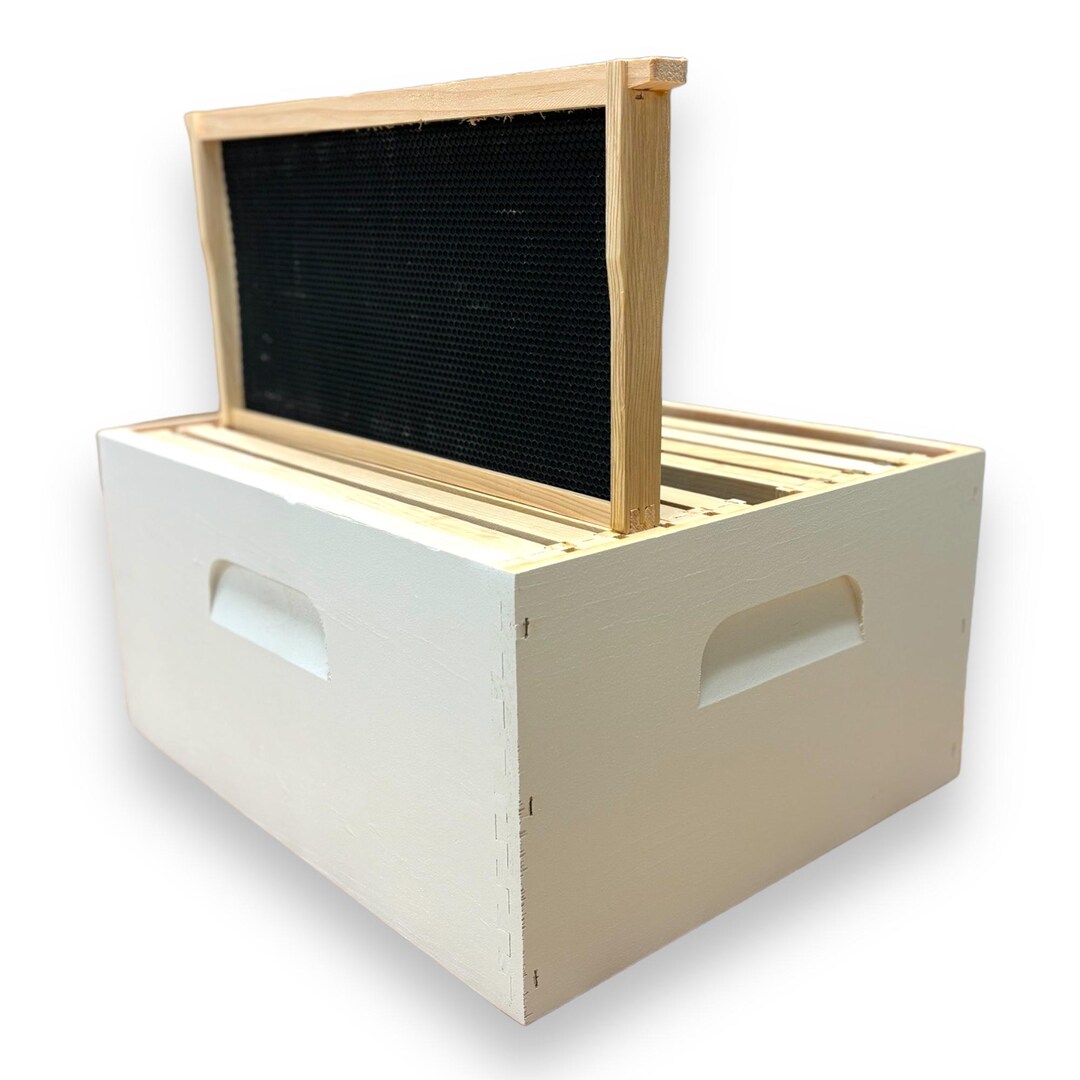 Sunvara Deep Beehive With 10 Frames, Premium Assembled Box, Honey Bee ...