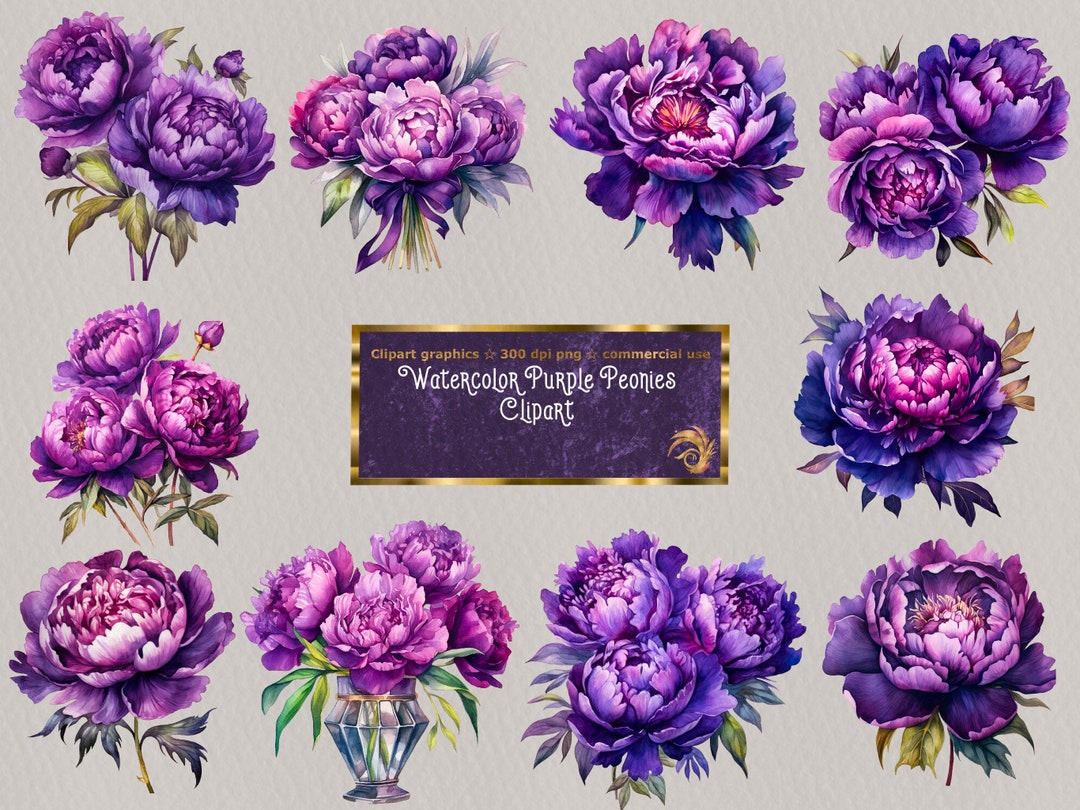 Glamourous Purple Peonies in Watercolor - Set of 30 Digital Clipart PNG ...
