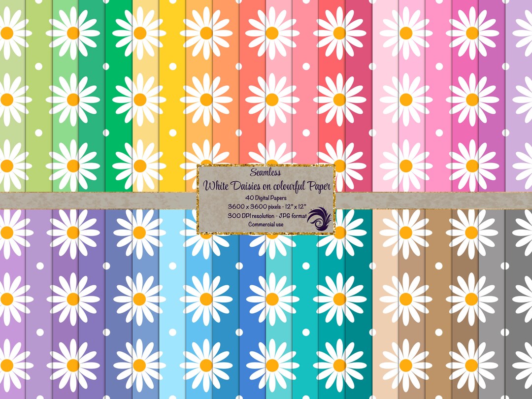 White Daisy Digital Paper Pack 12x12 - 40 Colour Bundle, Cute White ...