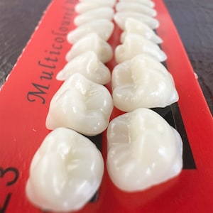 Resin Full Set Realistic Human Teeth.wholesale Resin Humanteeth,plastic ...