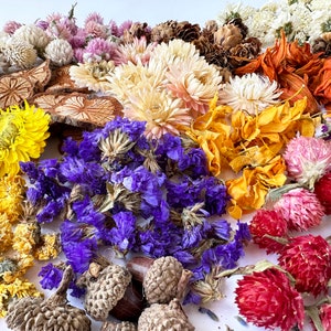 Wholesale Bulk Dried Flowers for Resin. 40 Variety for Choose.suitable ...