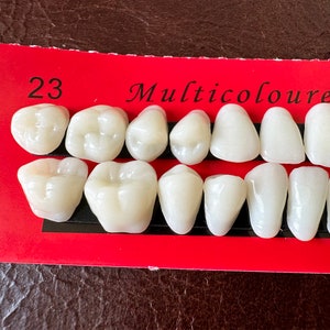 Resin Full Set Realistic Human Teeth.wholesale Resin Humanteeth,plastic ...