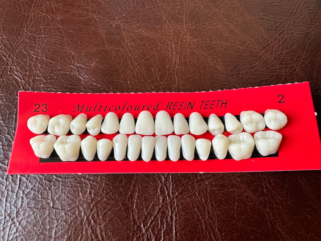 Resin Full Set Realistic Human Teeth.wholesale Resin Humanteeth,plastic ...
