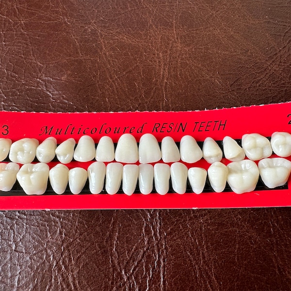 Fake Human Teeth - Etsy