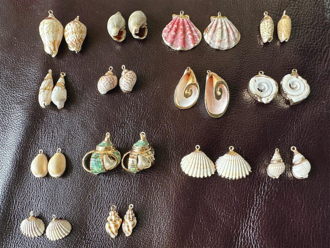 1-5PCS Natural Conch Shell Charms, Bulk Sea Shell Pendants. Sea Shells ...