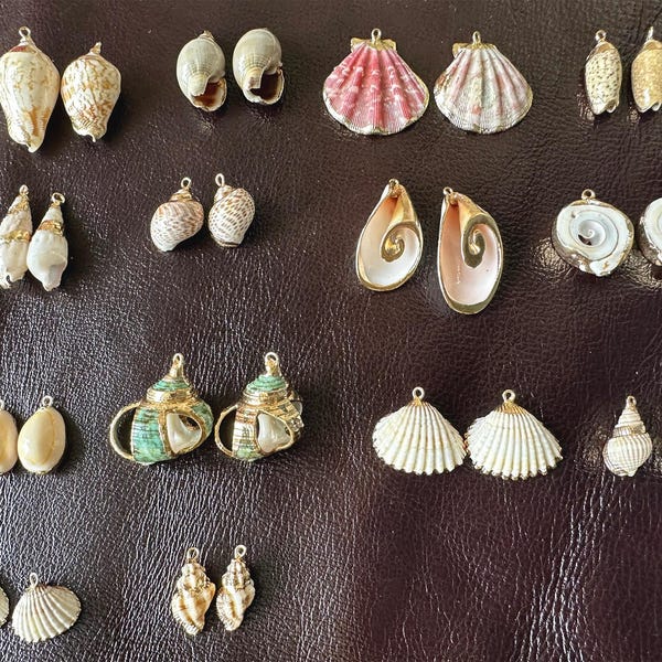 Shell Charms - Etsy