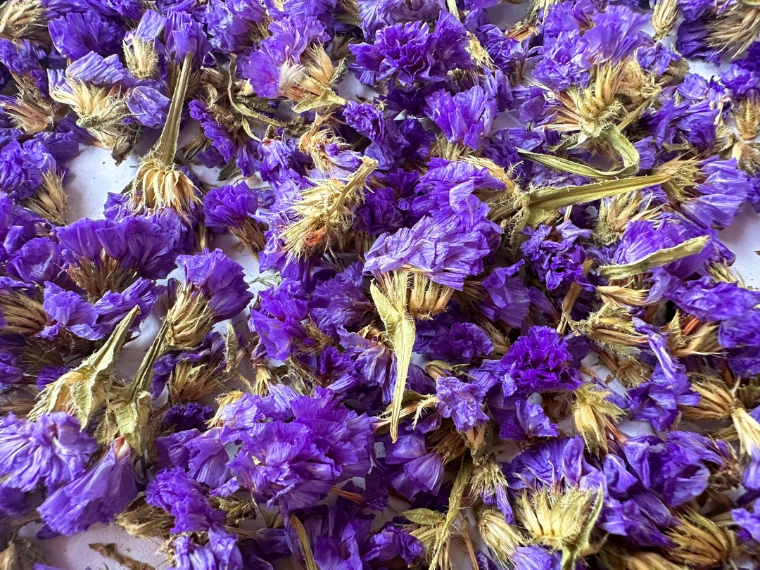 Dried Forget-me-not Bulk. 1-5 Oz. Fragrant Small Petal Bulk Dried ...