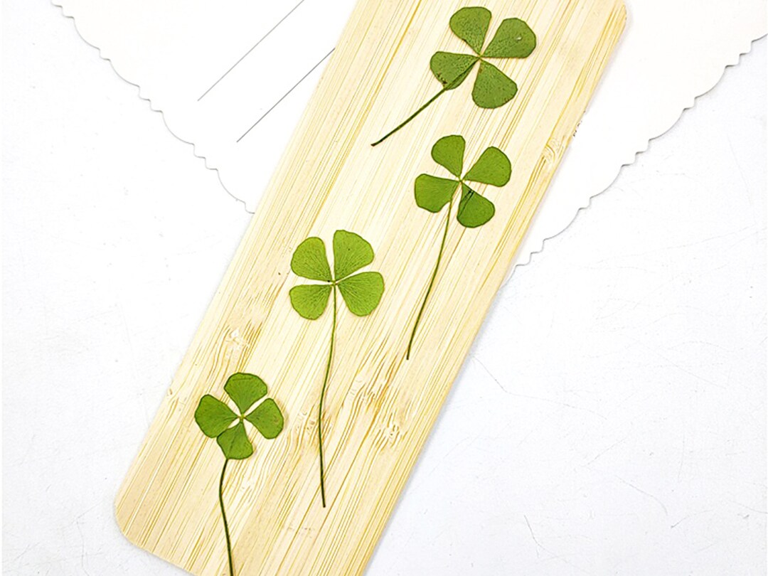 12 Pcs Pressed Dried Four Leaf Clover. Suitablefloral Art Craft Resin ...
