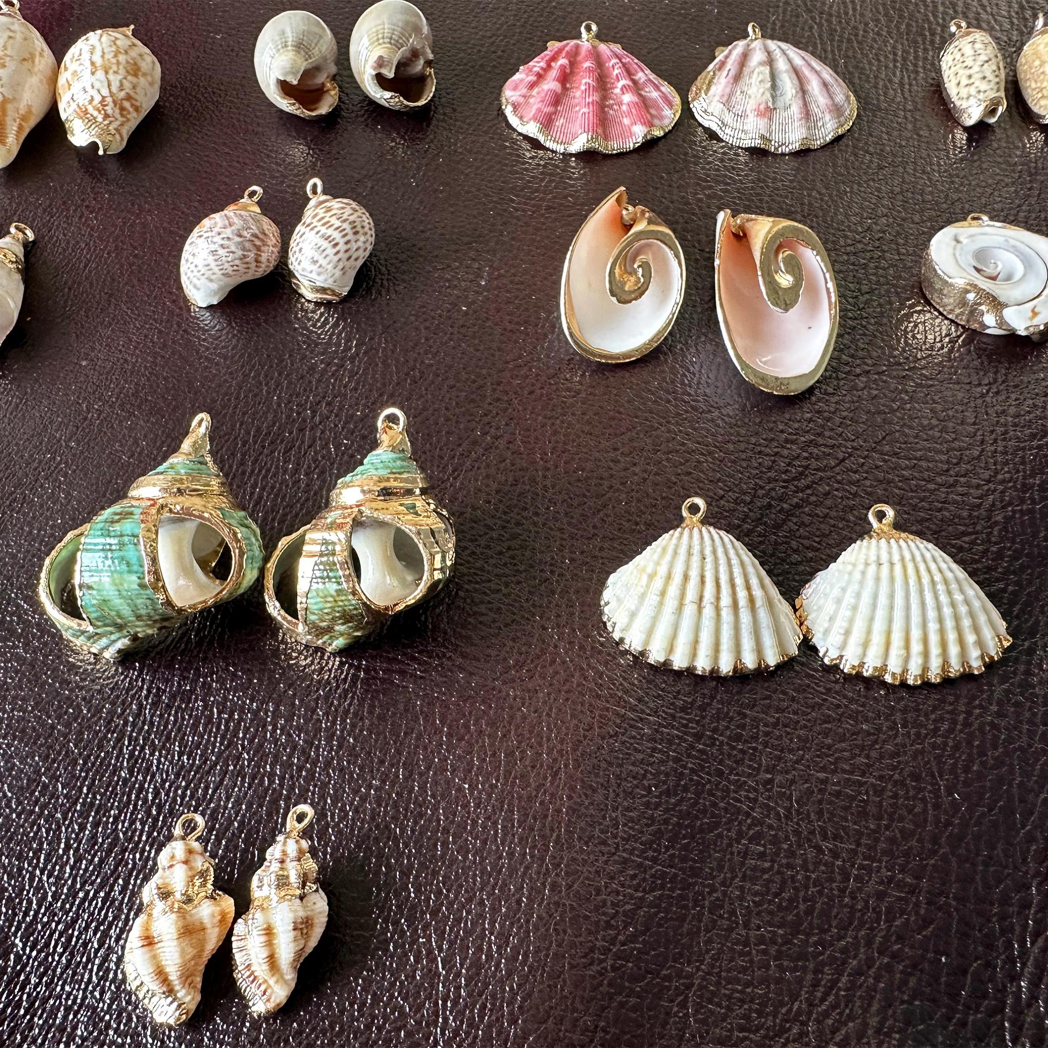 1-5PCS Natural Conch Shell Charms, Bulk Sea Shell Pendants. Sea Shells ...