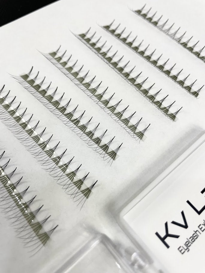 EXPRESS FANS Premade Fans Premium Quality 8mm-22mm 3D,5D,7D 0.07 ,10D 0 ...