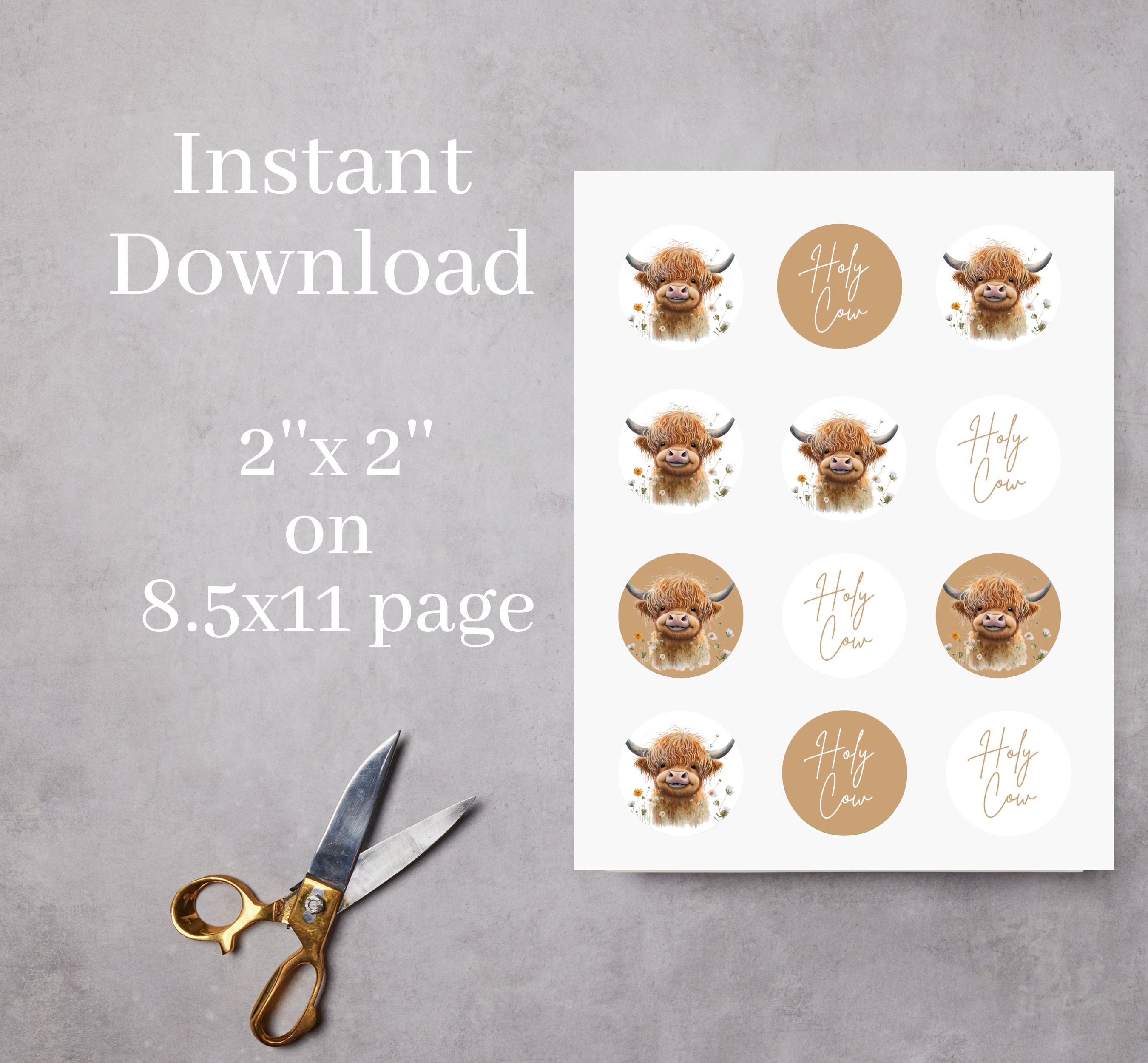 Holy Cow Baby Shower Cupcake Topper, Highland Cow Baby Shower ...