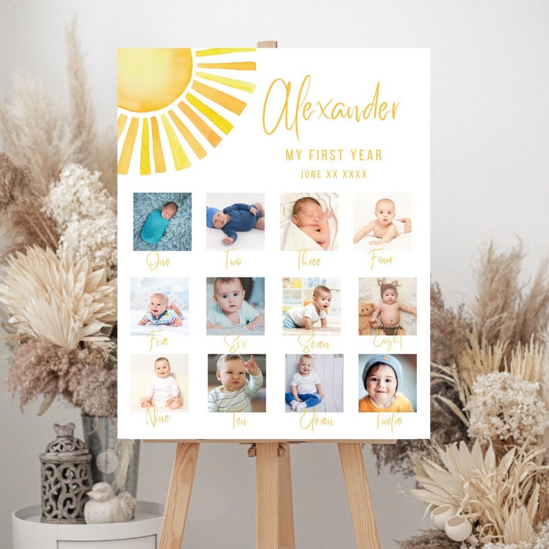 My First Year Sign, My First Year Photo, Trip Around the Sun, My First ...