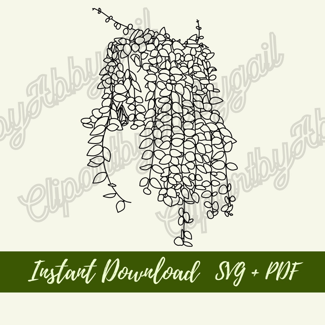 String of Nickels Plant Svg | Plant |house Plant Clipart | Botanical ...