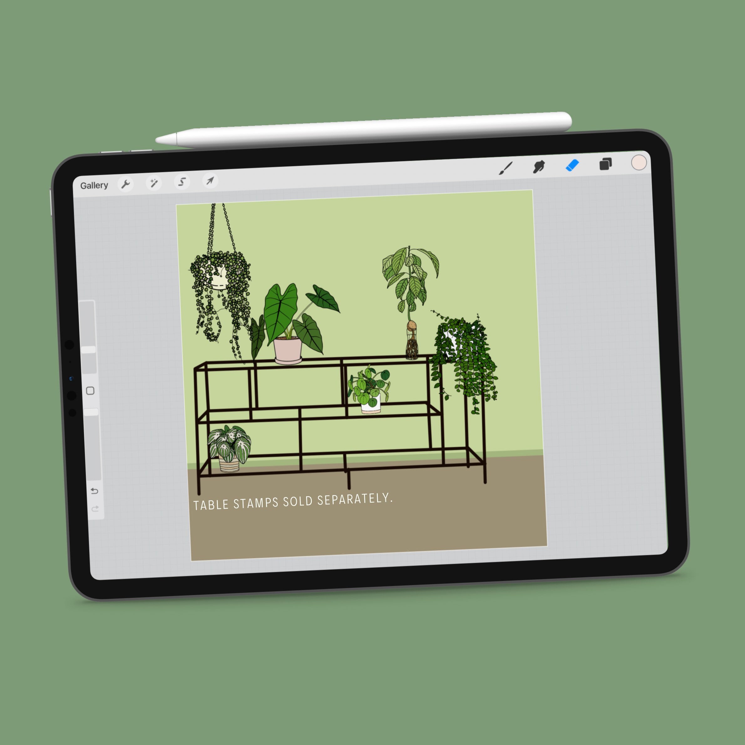 Procreate Plant Brush | Procreate Sketch Brush | House Plant Stamp ...