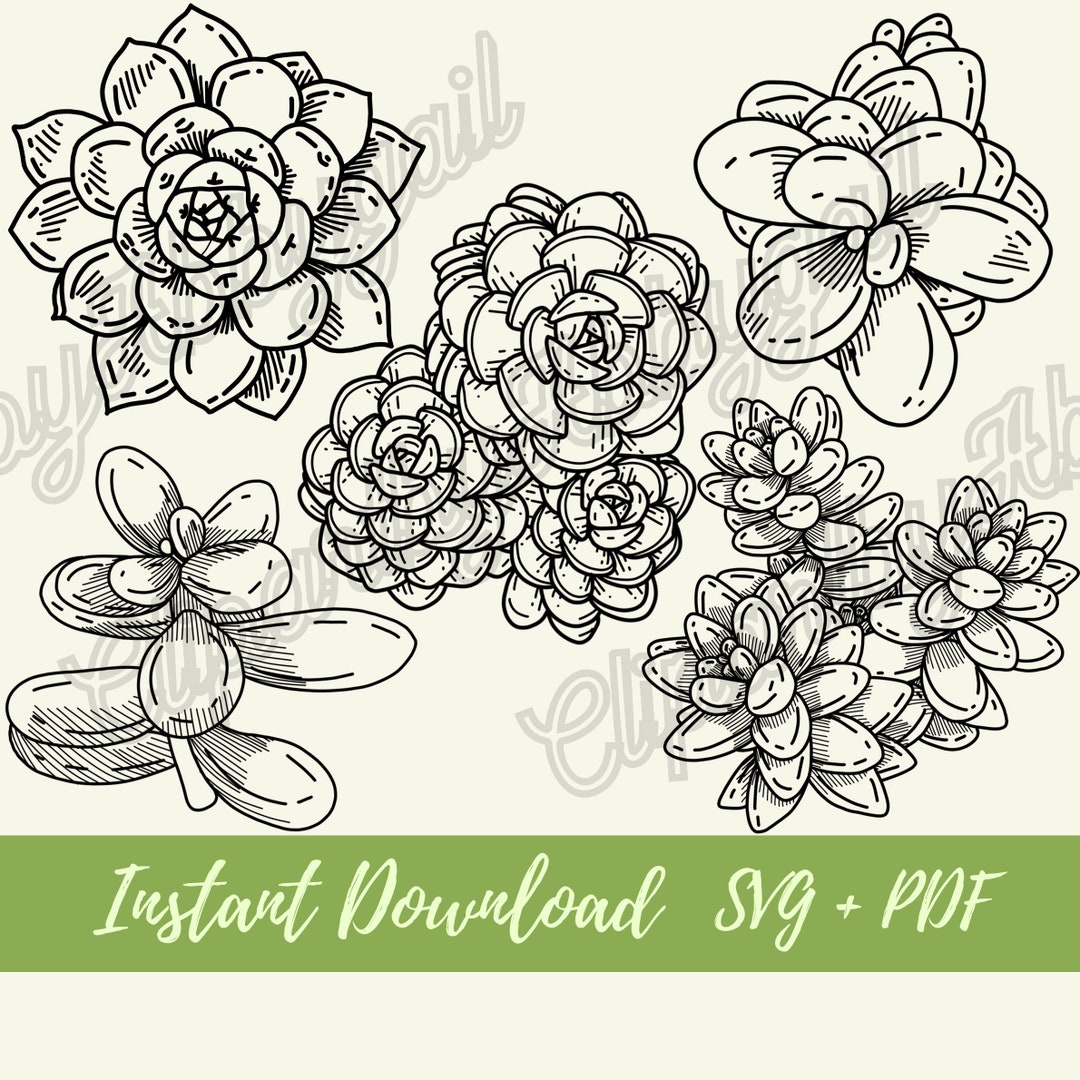Succulent Svg Bundle | Succulent Svg | Plant Clipart | Botanical Svg ...
