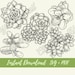 Succulent Svg Bundle | Succulent Svg | Plant Clipart | Botanical Svg ...