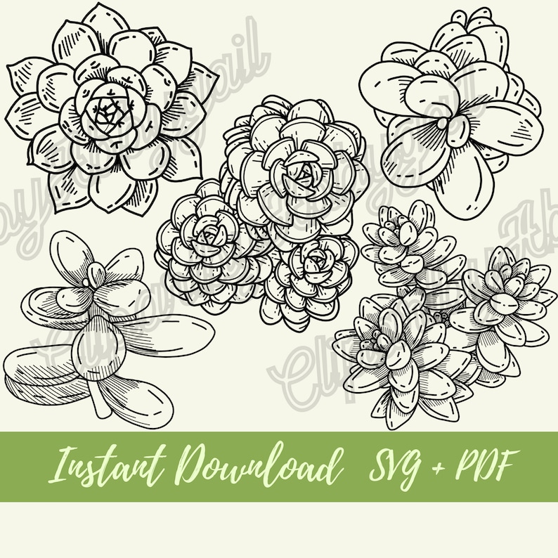 Succulent Svg Bundle | Succulent Svg | Plant Clipart | Botanical Svg ...